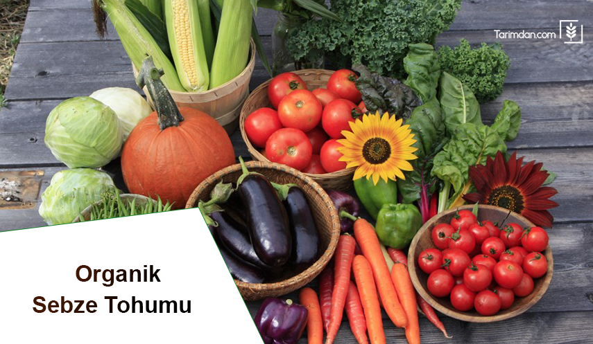 Organik Sebze Tohumu