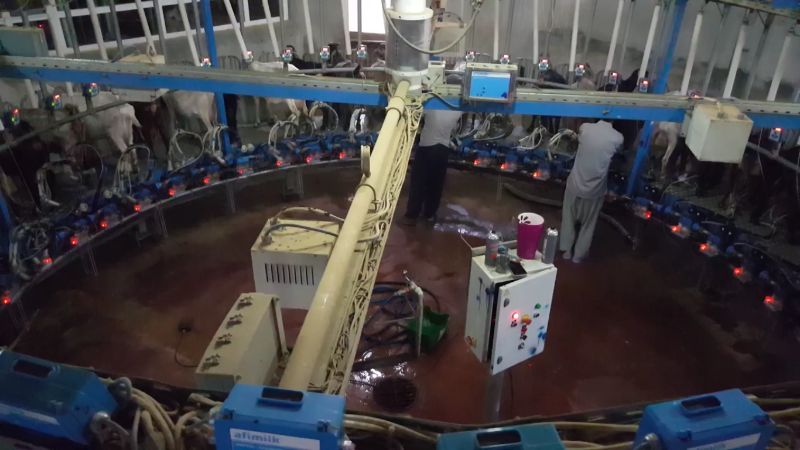 48 Sağımlı Rotary Sürü Yönetim Sistemli Küçükbaş Hayvan Sağım Makinesi ...